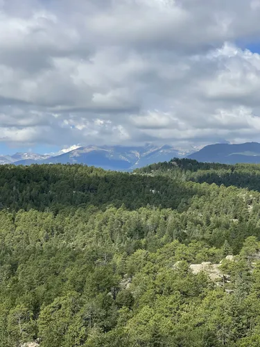 2023 Best Forest Trails in Pinewood Springs | AllTrails