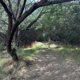 Black Hawk Trail Loop, Arizona - 190 Reviews, Map | AllTrails