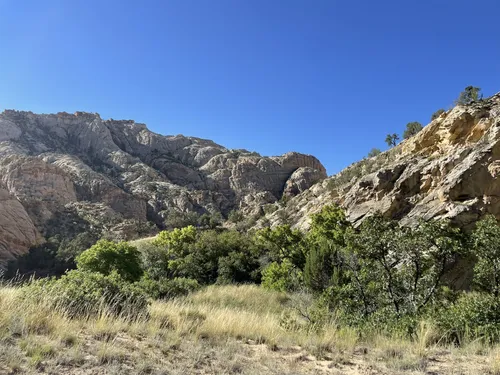 Best Hikes and Trails in Box-Death Hollow Wilderness | AllTrails