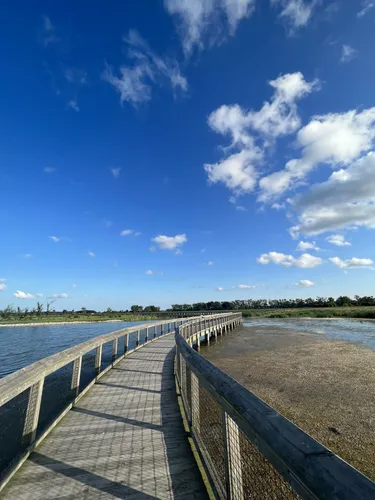 Best Hikes and Trails in Howard Marsh Metropark | AllTrails