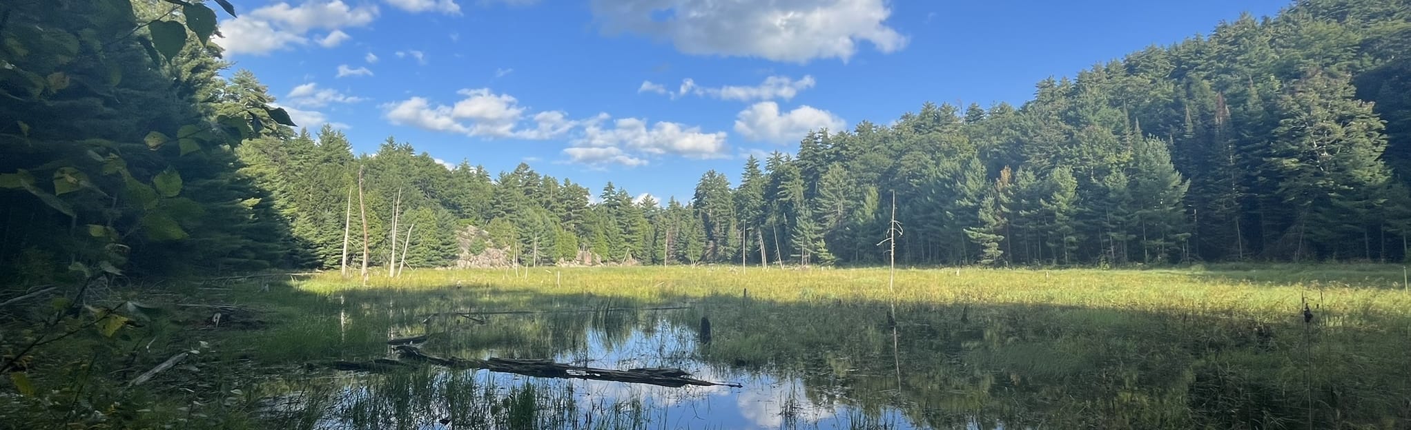 Manitou Mountain Trail to Calabogie Lake Loop, Ontario, Canada - 650 ...