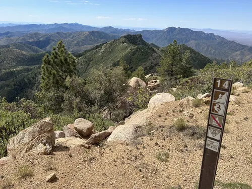 Best Hikes and Trails in Hualapai Mountain Park | AllTrails