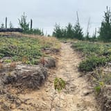 Mantario Hiking Trail, Manitoba, Canada - 234 Reviews, Map | AllTrails