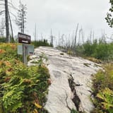 Mantario Hiking Trail, Manitoba, Canada - 239 Reviews, Map | AllTrails