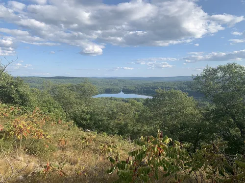 2023 Best Trails, Walks, and Paths in Combermere | AllTrails