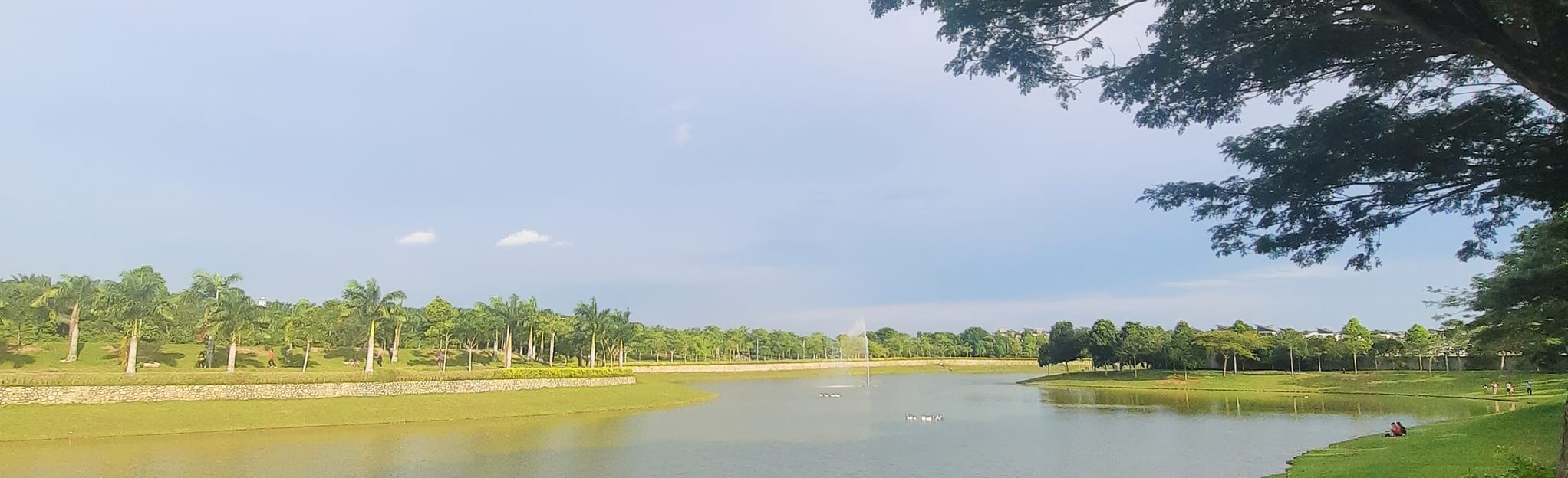 Tasik Krubong Loop: 12 fotos - Malaca, Malasia | AllTrails