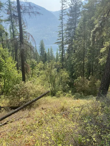 Best Hikes and Trails in Syringa Provincial Park | AllTrails