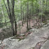 Case Mountain Trail, Connecticut - 1,013 Reviews, Map | AllTrails