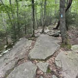 Case Mountain Trail, Connecticut - 1,013 Reviews, Map | AllTrails