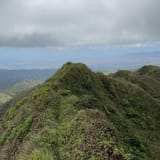 Manana Ridge Trail to Ko'olau Summit, Oahu, Hawaii - 172 Reviews, Map ...