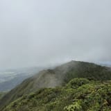 Manana Ridge Trail to Ko'olau Summit, Oahu, Hawaii - 172 Reviews, Map ...