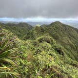 Manana Ridge Trail to Ko'olau Summit, Oahu, Hawaii - 172 Reviews, Map ...