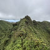 Manana Ridge Trail to Ko'olau Summit, Oahu, Hawaii - 172 Reviews, Map ...