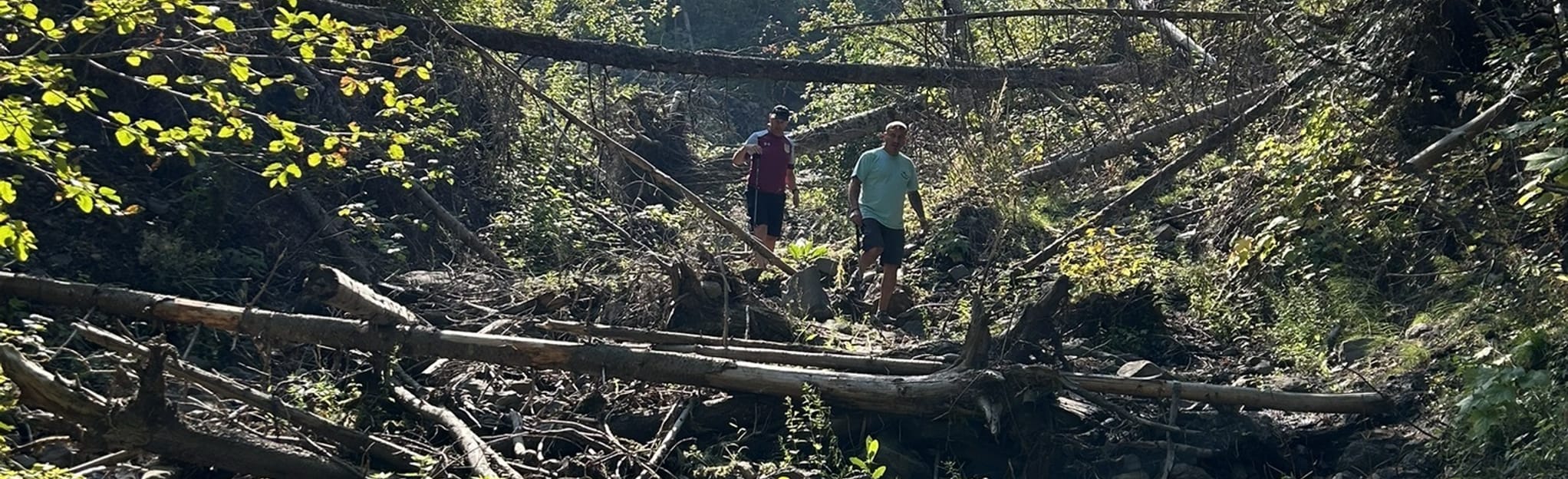 Ammonite Fossil: Direct Trail, British Columbia, Canada - 37 Reviews, Map | AllTrails