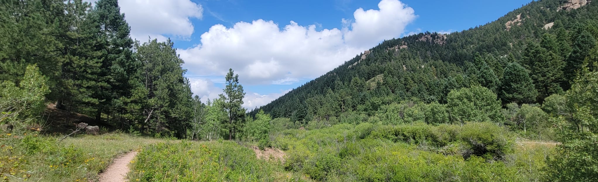 Limbaugh Canyon and Raspberry Mountain Loop, Colorado - 217 Reviews ...