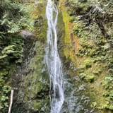 Madison Falls Trail, Washington - 1,485 Reviews, Map | AllTrails