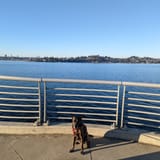 WA 520 Trail, Washington - 692 Reviews, Map | AllTrails