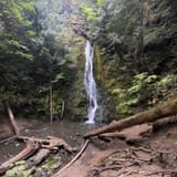 Madison Falls Trail, Washington - 1,485 Reviews, Map | AllTrails
