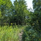 Pyramid Point Loop, Michigan - 923 Reviews, Map | AllTrails