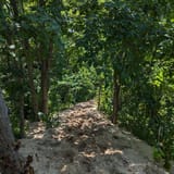 Pyramid Point Loop, Michigan - 923 Reviews, Map | AllTrails