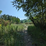 Pyramid Point Loop, Michigan - 923 Reviews, Map | AllTrails