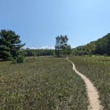 Pyramid Point Loop, Michigan - 923 Reviews, Map | AllTrails