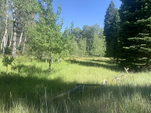 Best Hikes and Trails in Modoc National Forest | AllTrails