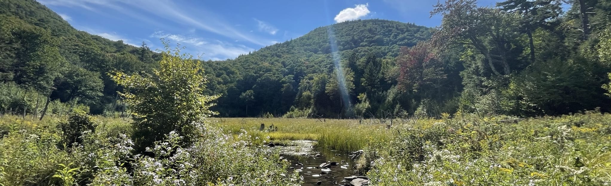 Twin Mountain via Pecoy Notch Trail, New York - 231 Reviews, Map ...