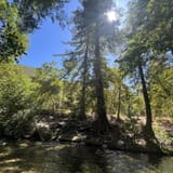 Big Sur River Gorge Trail, California - 584 Reviews, Map | AllTrails