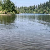 Molalla River State Park Trail, Oregon - 382 Reviews, Map | AllTrails