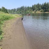 Molalla River State Park Trail, Oregon - 382 Reviews, Map | AllTrails