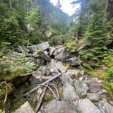 Mahoosuc Traverse, Maine - 44 Reviews, Map | AllTrails
