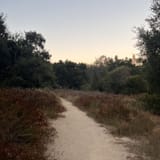 Lower Arroyo Seco Trail, California - 1,495 Reviews, Map | AllTrails