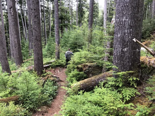 Best Hikes and Trails in Marble River Provincial Park | AllTrails