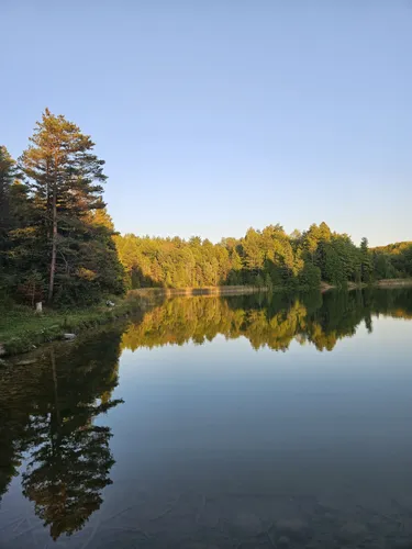 Best Lake Trails in West Grey | AllTrails