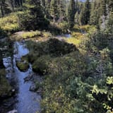 Sunshine Meadows, Alberta, Canada - 209 Reviews, Map | AllTrails