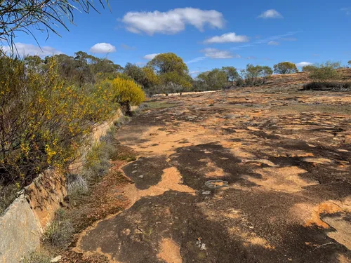 Best Camping Trails in Wallaroo | AllTrails