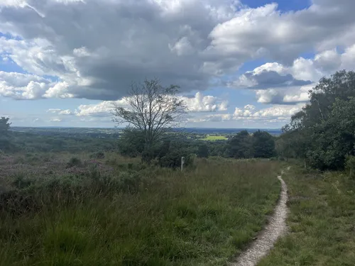 Best Walking Trails in Ashdown Forest | AllTrails