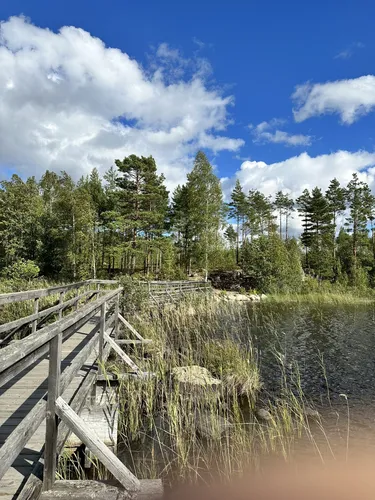 2023 Best River Trails in Repovesi National Park | AllTrails