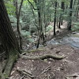 Crystal Cascade Falls, Vermont - 511 Reviews, Map | AllTrails