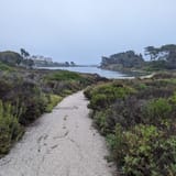 Goleta Beach and the UCSB Lagoon Trail, California - 524 Reviews, Map ...