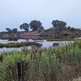 Goleta Beach and the UCSB Lagoon Trail, California - 419 Reviews, Map ...
