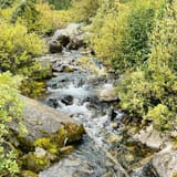 Gorman Lake Trail, British Columbia, Canada - 146 Reviews, Map | AllTrails