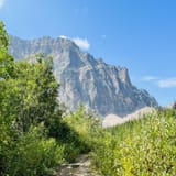 Gorman Lake Trail, British Columbia, Canada - 146 Reviews, Map | AllTrails