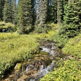 Gorman Lake Trail, British Columbia, Canada - 185 Reviews, Map | AllTrails