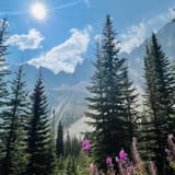 Gorman Lake Trail, British Columbia, Canada - 185 Reviews, Map | AllTrails