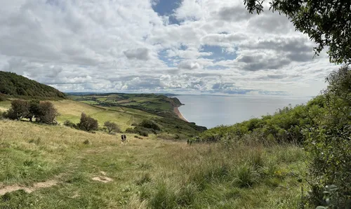 10 Best Camping Trails in Dorset National Landscape (AONB) | AllTrails