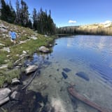 Goodwin Lake Trail, Wyoming - 363 Reviews, Map | AllTrails