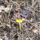 Pudding Pond Loop, New Hampshire - 292 Reviews, Map | AllTrails