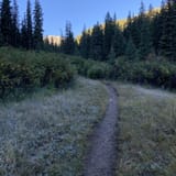 Hope Pass via Willis Gulch Trail, Colorado - 457 Reviews, Map | AllTrails